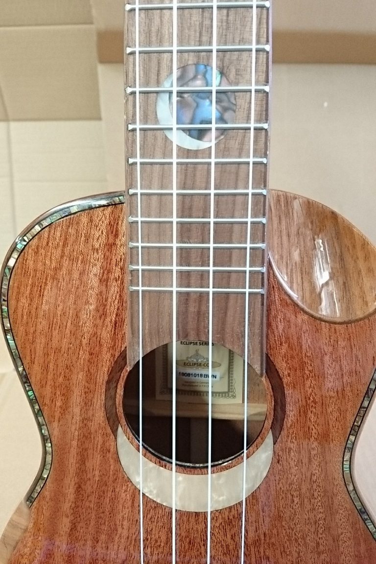 ORT-ECLIPSE-CC4, ORTEGA ECLIPSE CONCERT UKULELE, ALL SOLID MAHOGANY ...